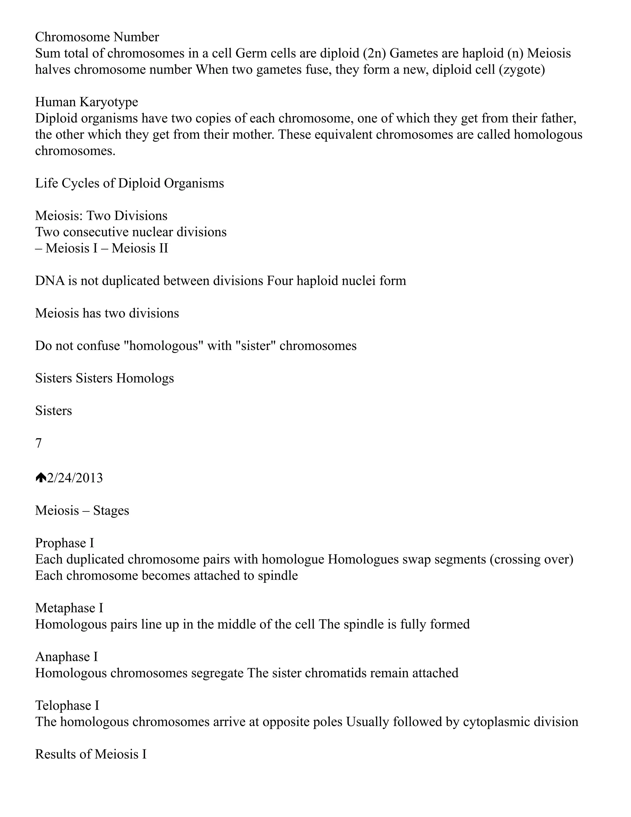 Mitosis Lab Report | PDF
