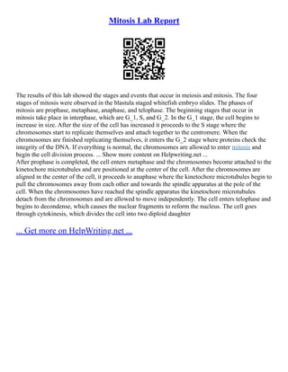Mitosis Lab Report | PDF