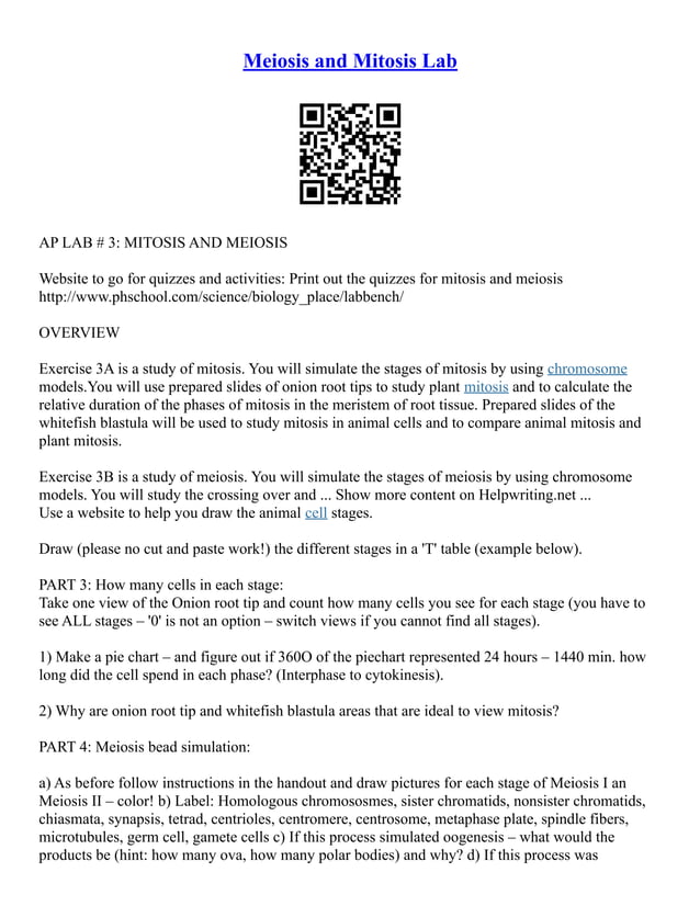 Mitosis Lab Report | PDF