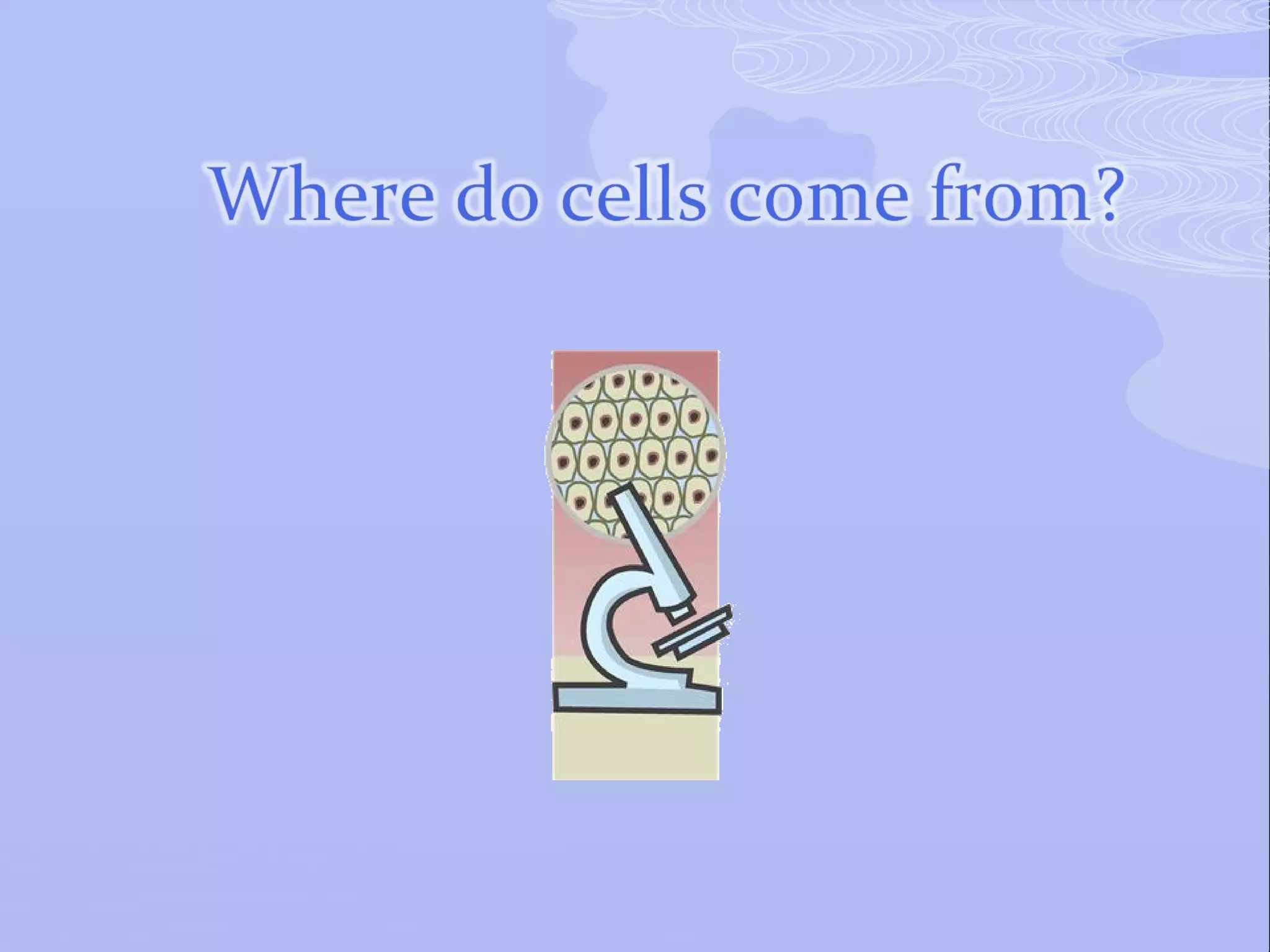 Mitosis lesson 1 | PPT