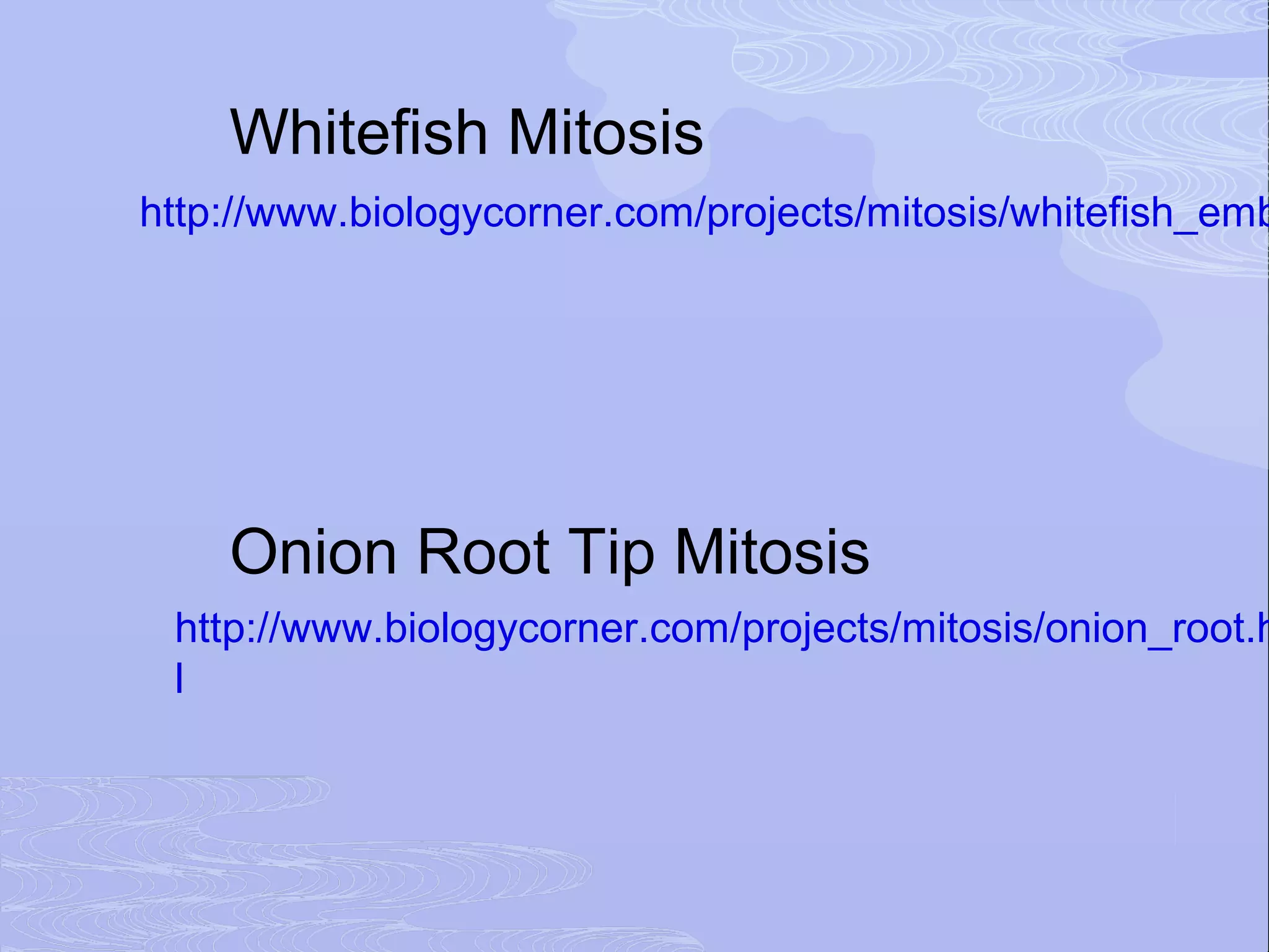 Mitosis lesson 1 | PPT