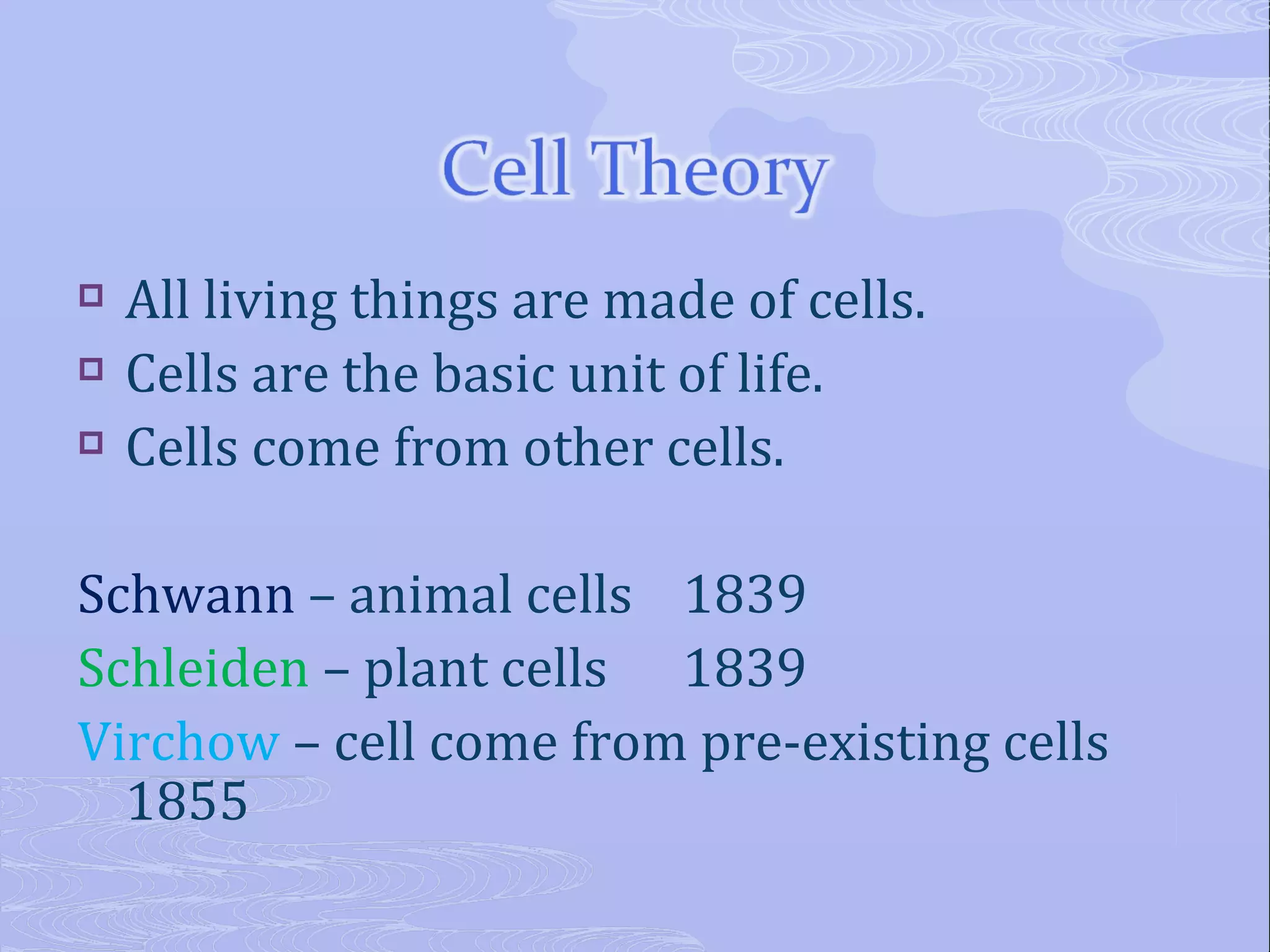 Mitosis lesson 1 | PPT