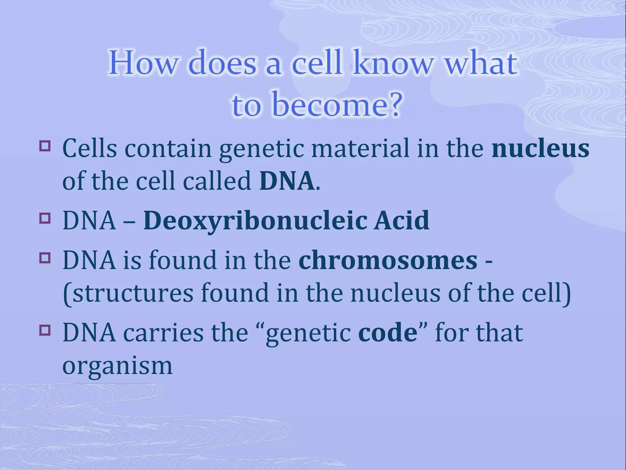 Mitosis lesson 1 revised | PPT
