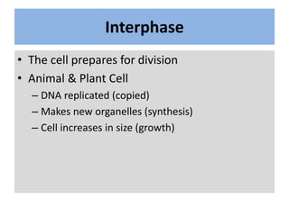 Mitosis , Cell division | PPTX