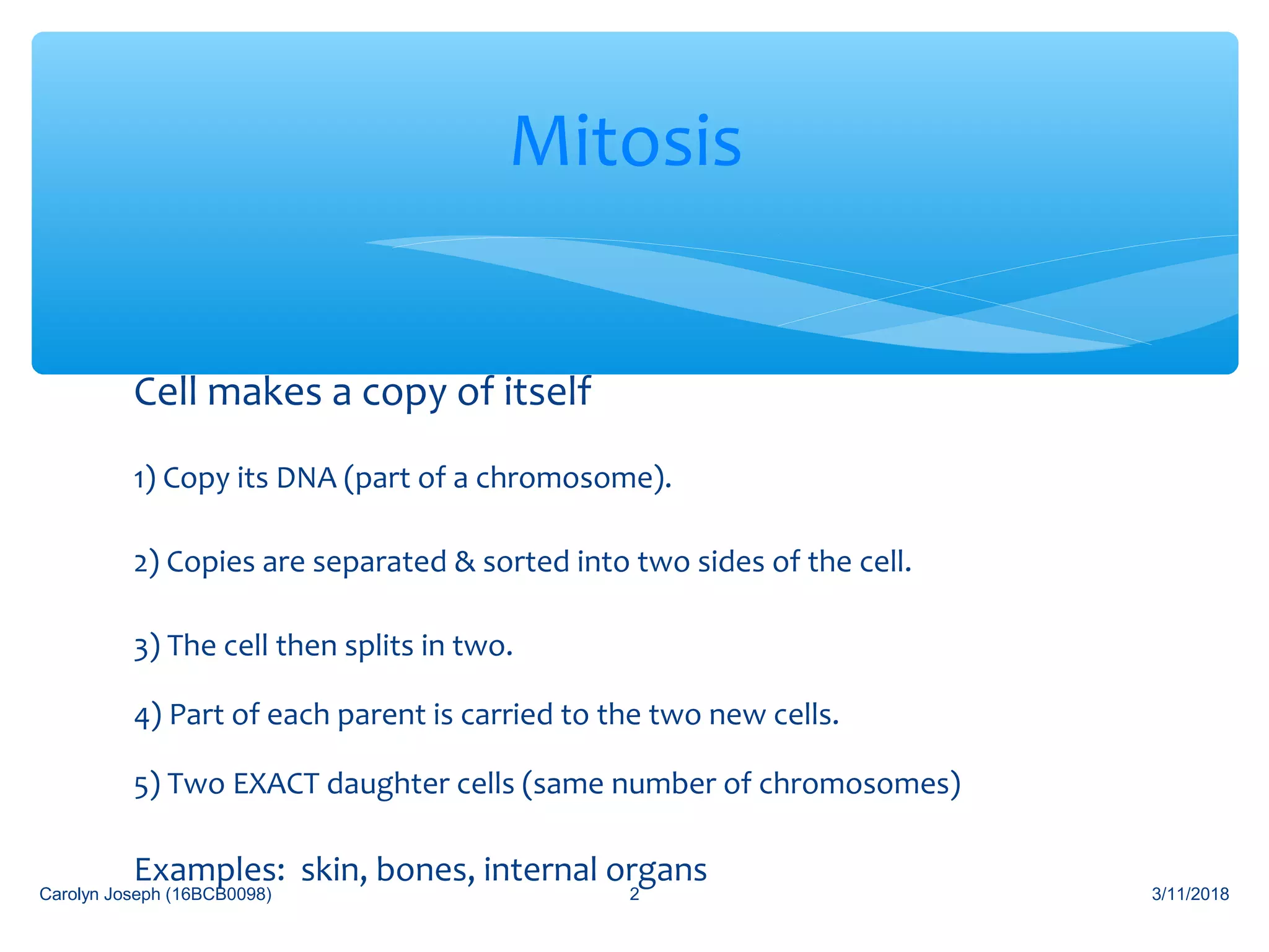Mitosis& meiosis | PPT