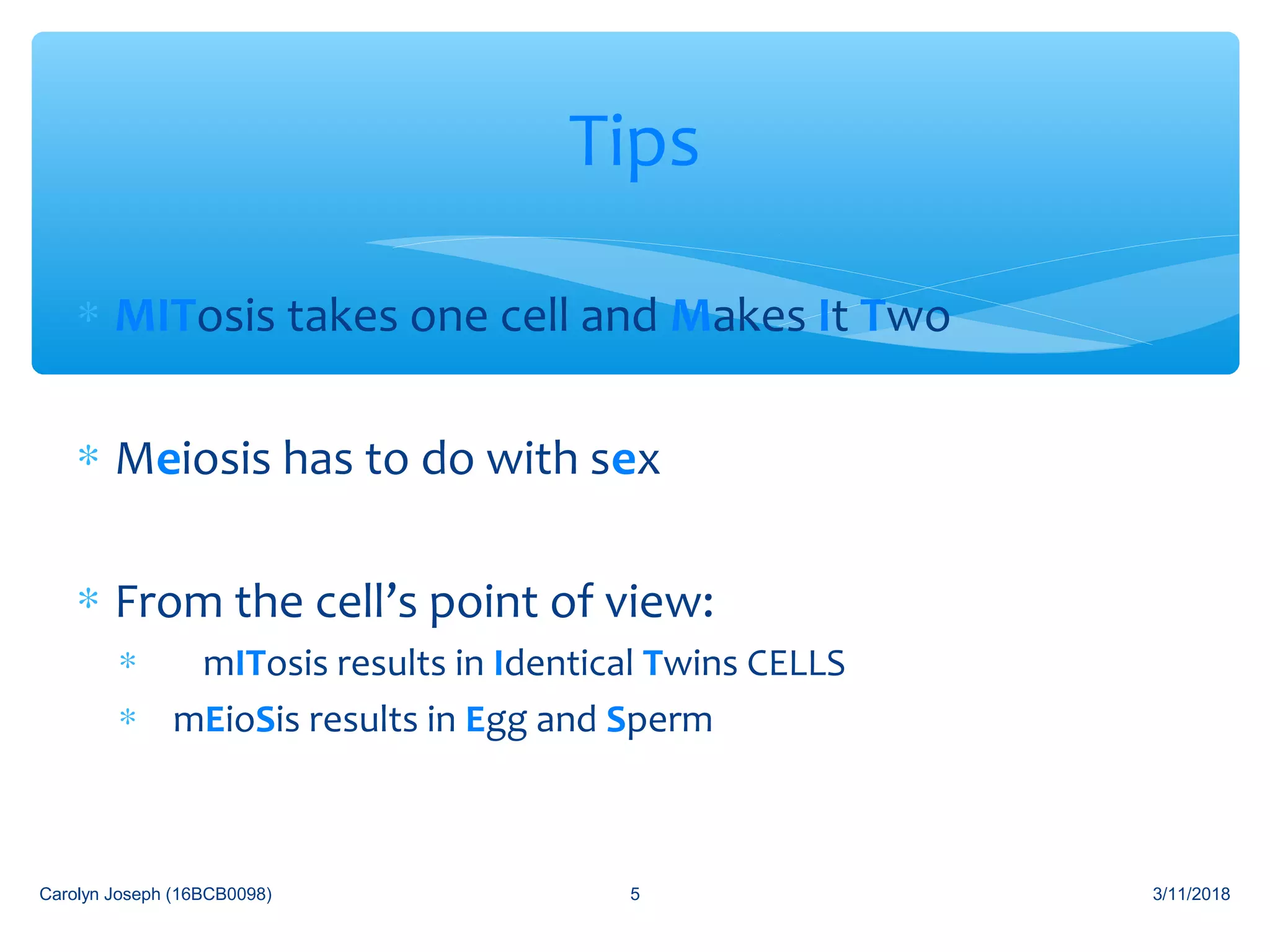 Mitosis& meiosis | PPT