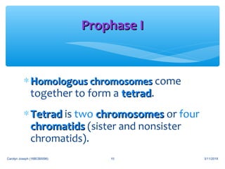 Mitosis& meiosis | PPT