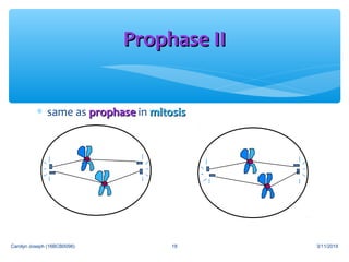 Mitosis& meiosis | PPT
