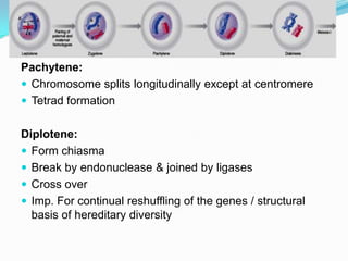 Mitosis meiosis- Dr.Gourav | PPTX | Biological Sciences | Science