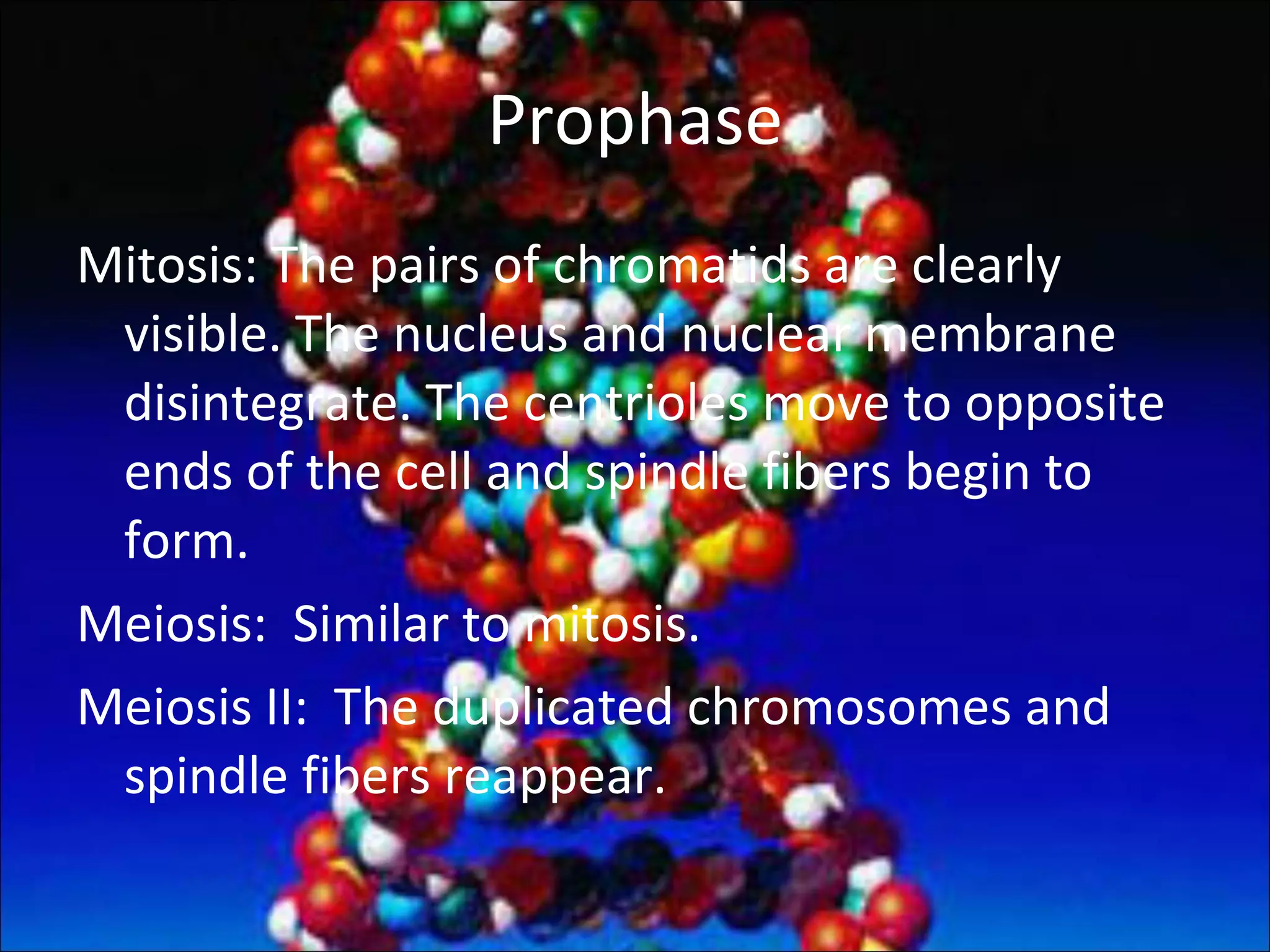Mitosis meiosis and dna | PPT | Infertility | Reproductive Health