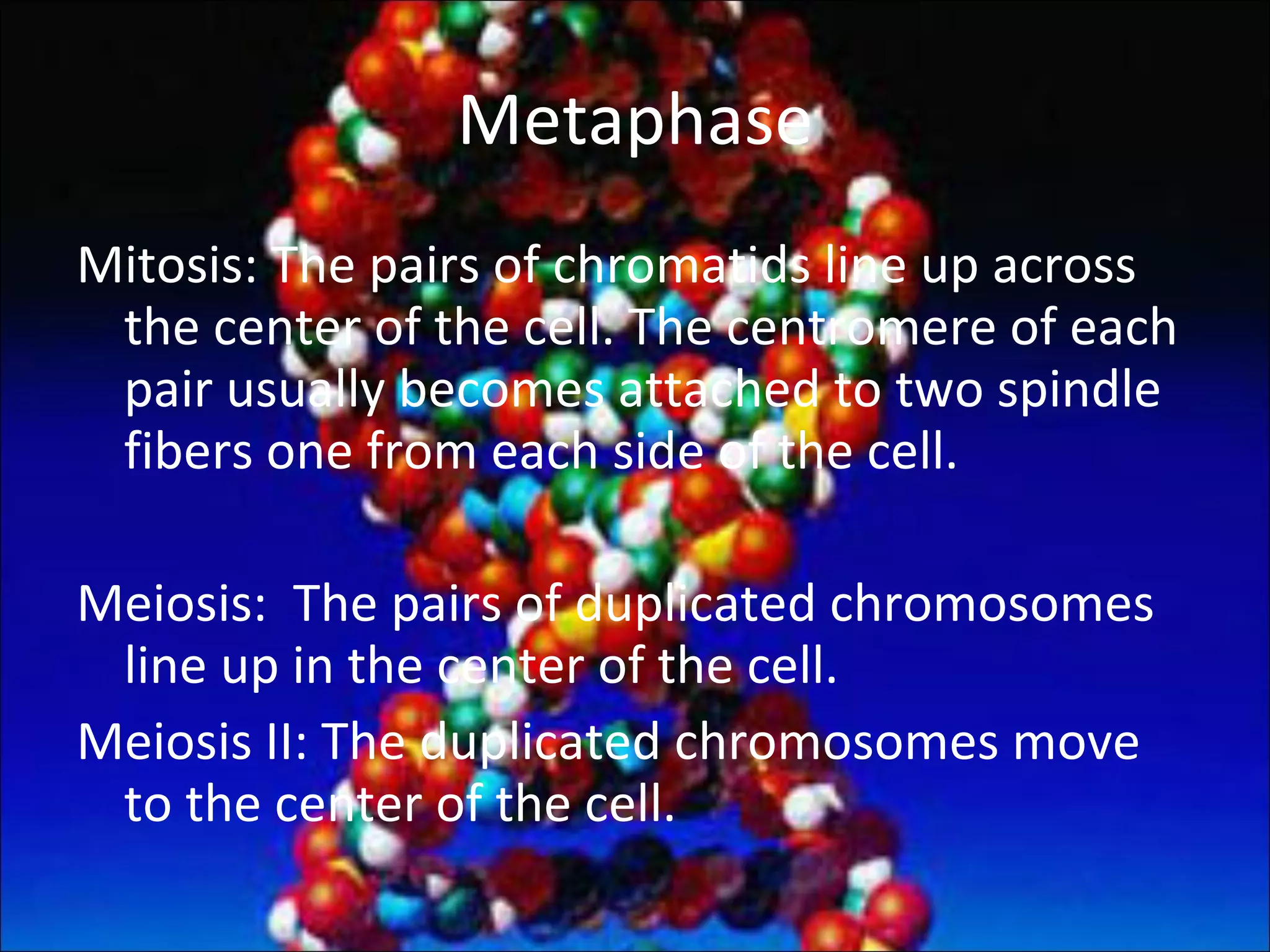 Mitosis meiosis and dna | PPT | Infertility | Reproductive Health