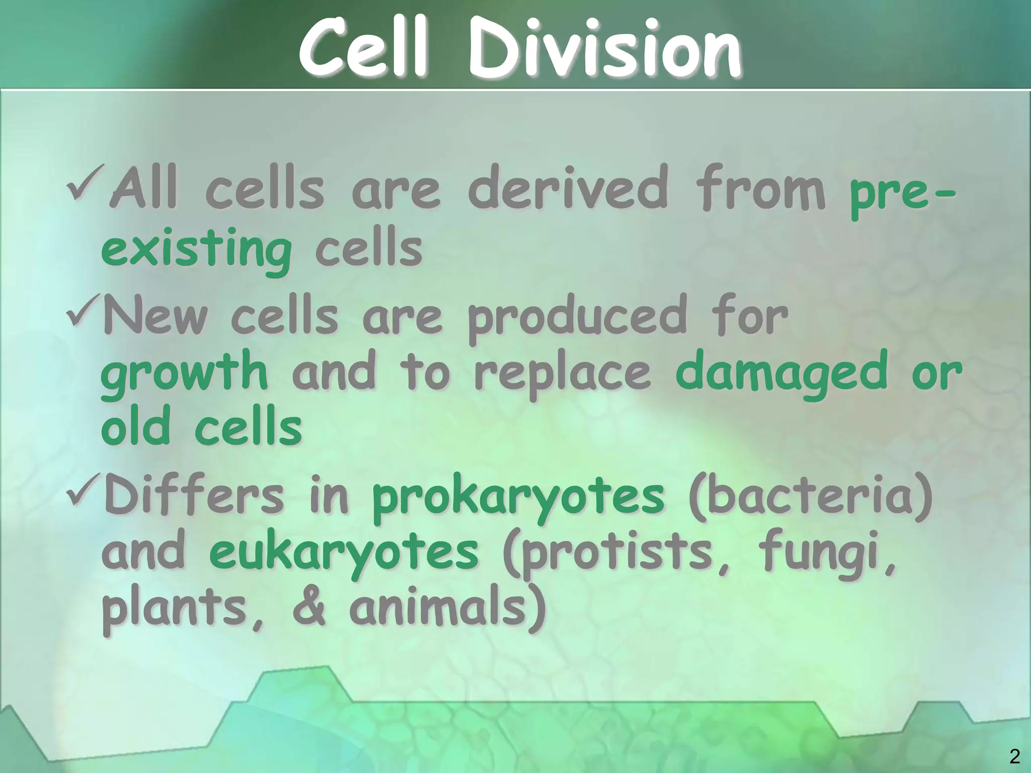 Mitosis,Meiosis || PPT | PPT