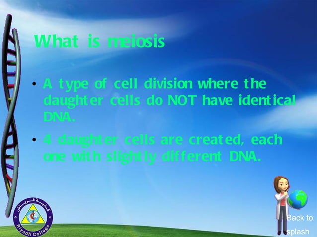 Mitosis & meiosis review | PPT