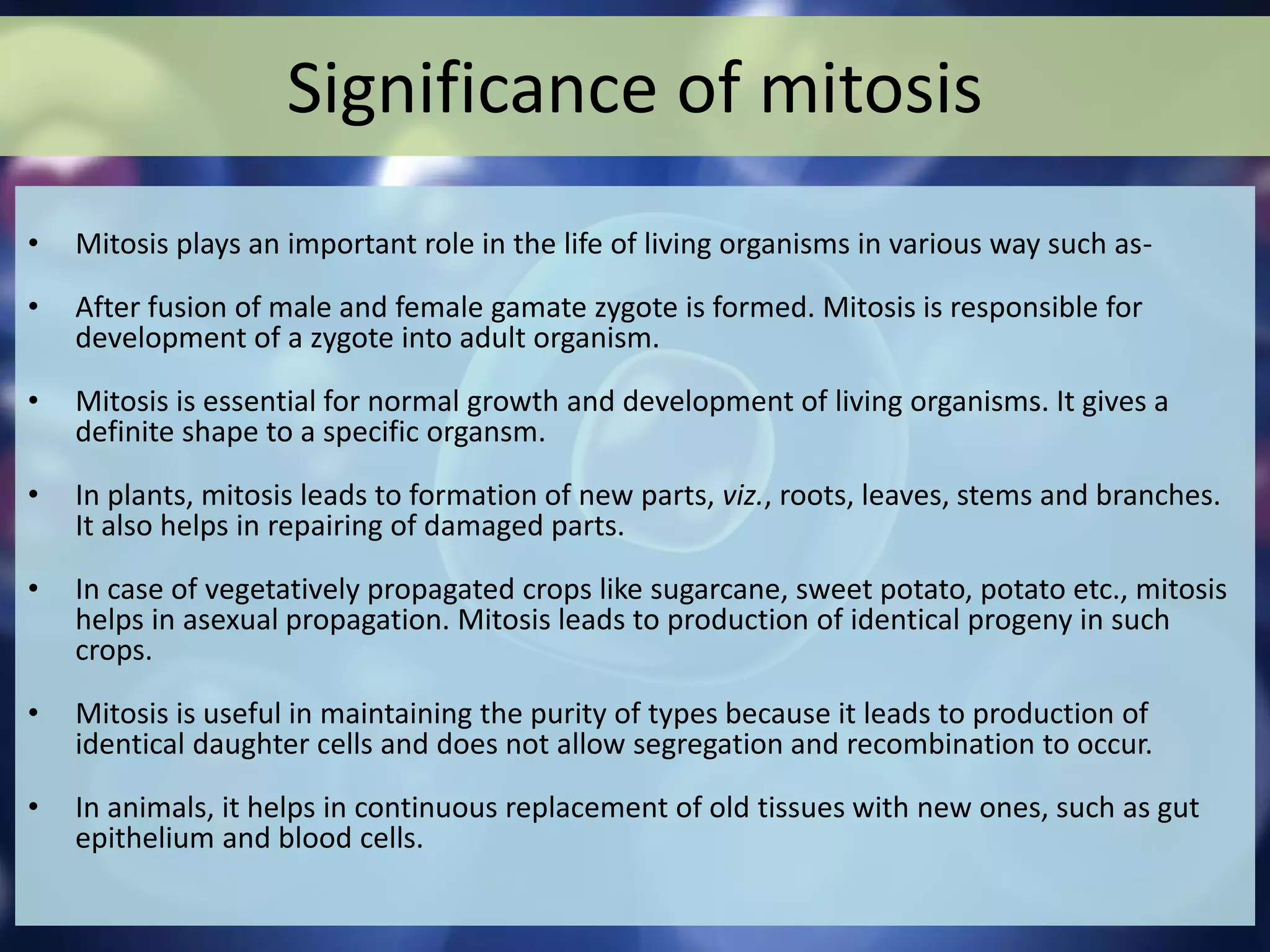 Chromosomal Theory Of Inheritance In Relation To Cell Division Ppt