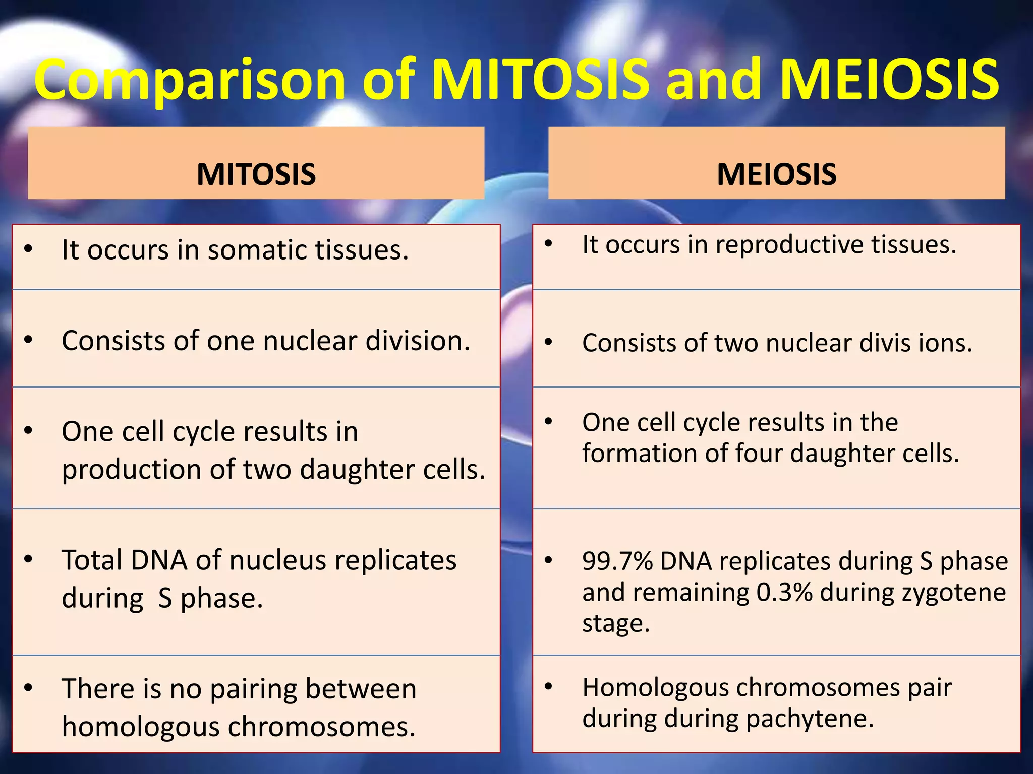 Chromosomal theory of inheritance in relation to cell division | PPTX