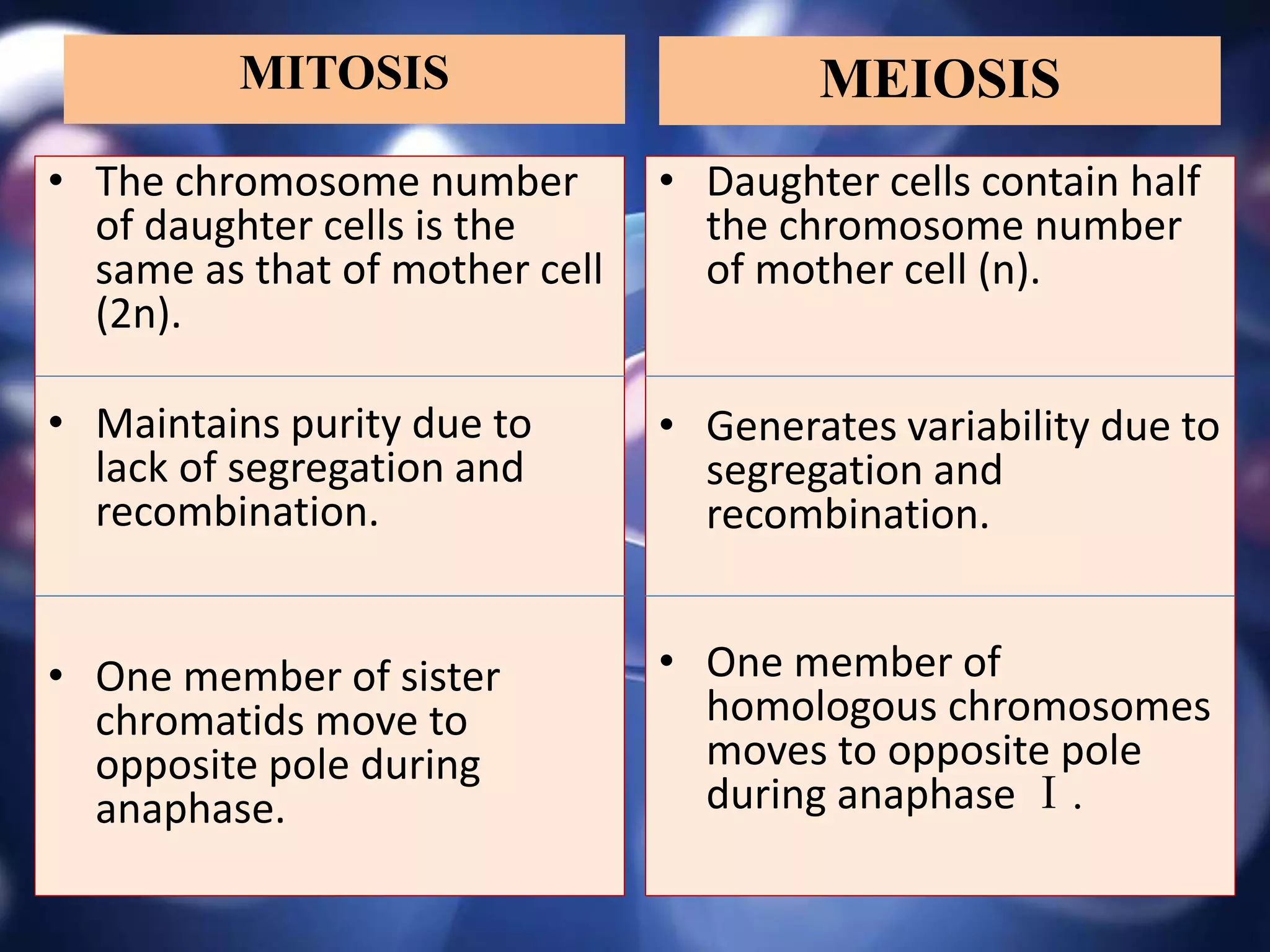 Chromosomal theory of inheritance in relation to cell division | PPTX