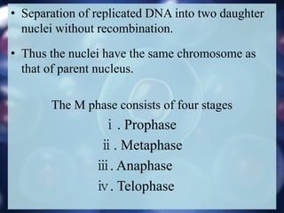 Chromosomal theory of inheritance in relation to cell division | PPTX