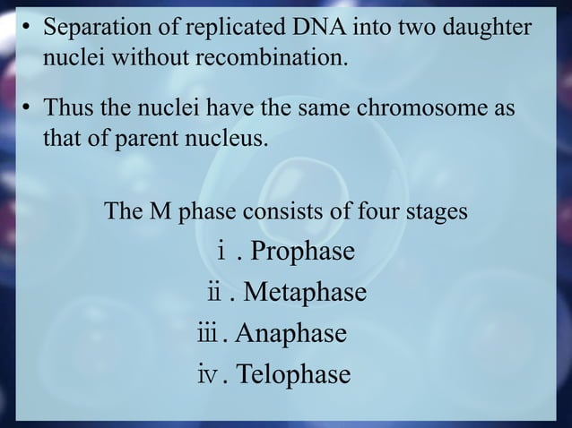 Chromosomal theory of inheritance in relation to cell division | PPTX ...