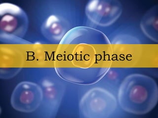 Chromosomal theory of inheritance in relation to cell division | PPTX