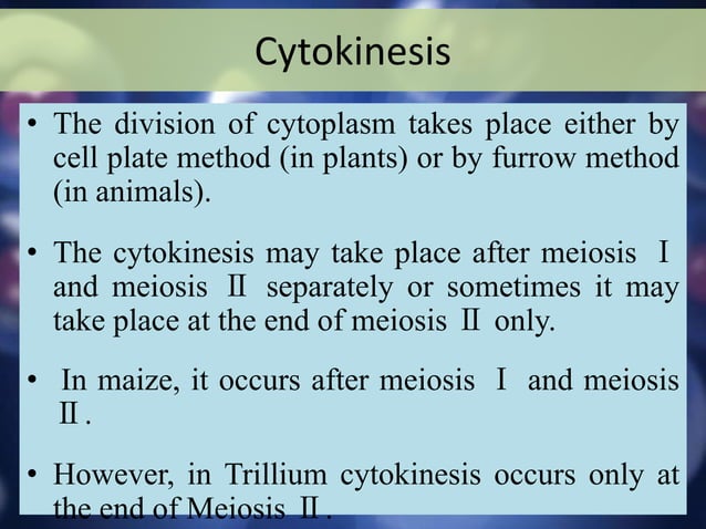 Chromosomal theory of inheritance in relation to cell division | PPTX | Biological Sciences ...