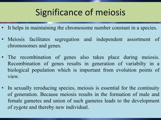 Chromosomal theory of inheritance in relation to cell division | PPTX