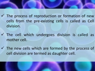 Chromosomal theory of inheritance in relation to cell division | PPTX