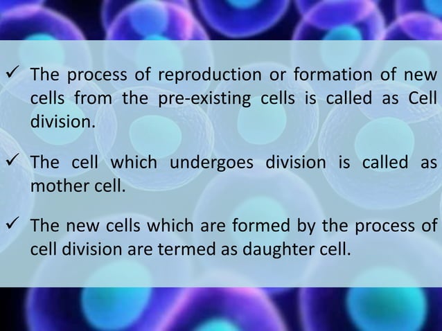 Chromosomal theory of inheritance in relation to cell division | PPTX | Biological Sciences ...