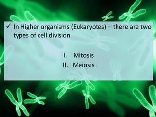 Chromosomal theory of inheritance in relation to cell division | PPTX