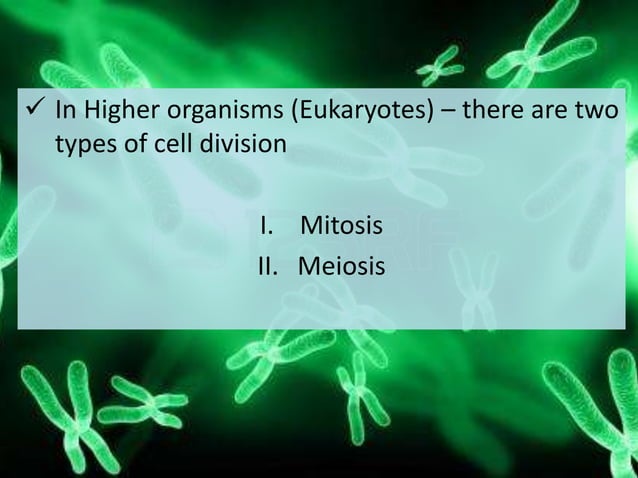 Chromosomal theory of inheritance in relation to cell division | PPTX | Biological Sciences ...