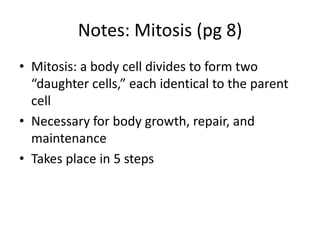 Mitosis notes | PPT