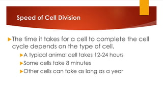 Cell Growth and Mitosis | PPTX