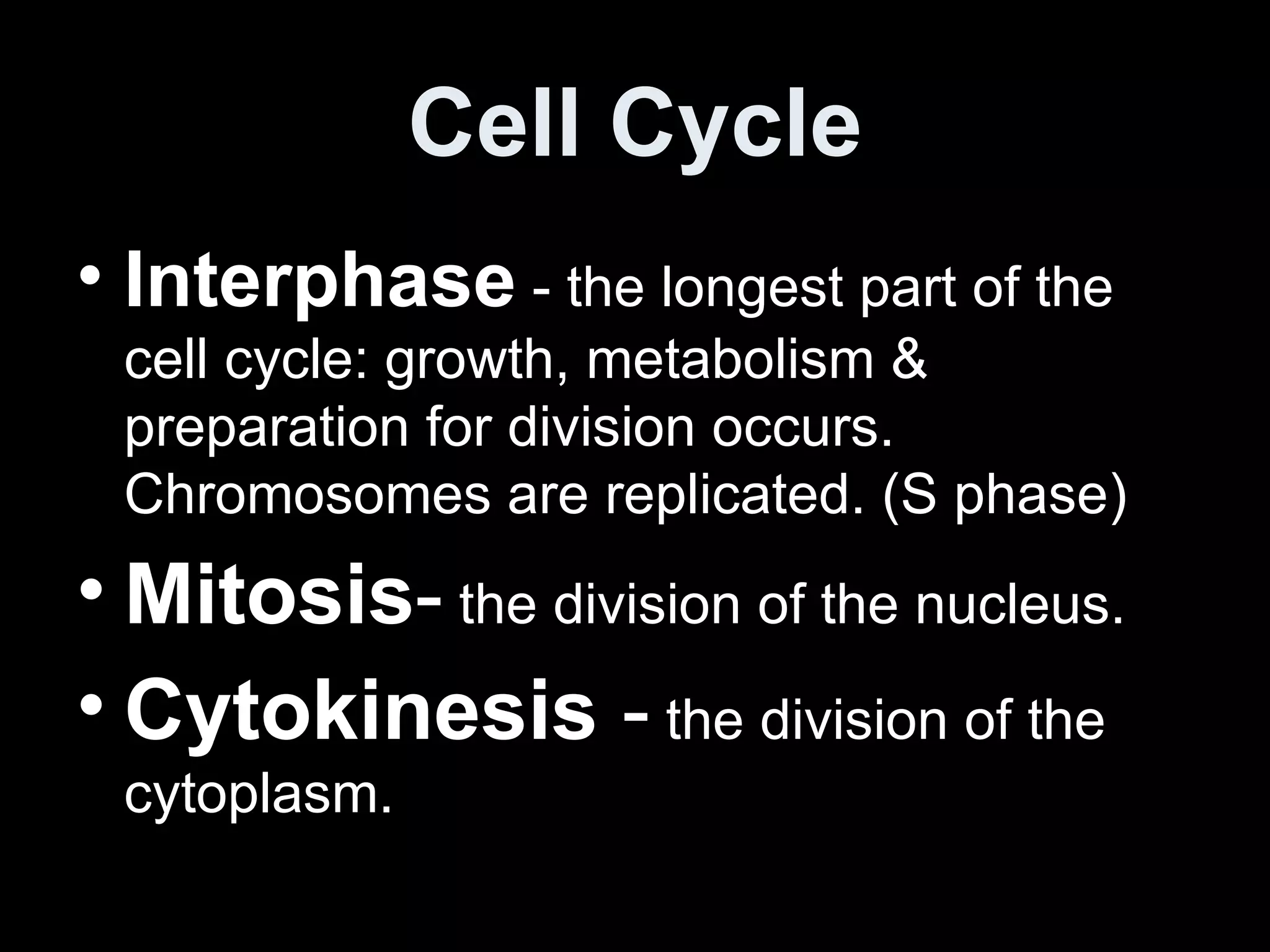 Mitosis notes (cell cycle) for blog | PPT