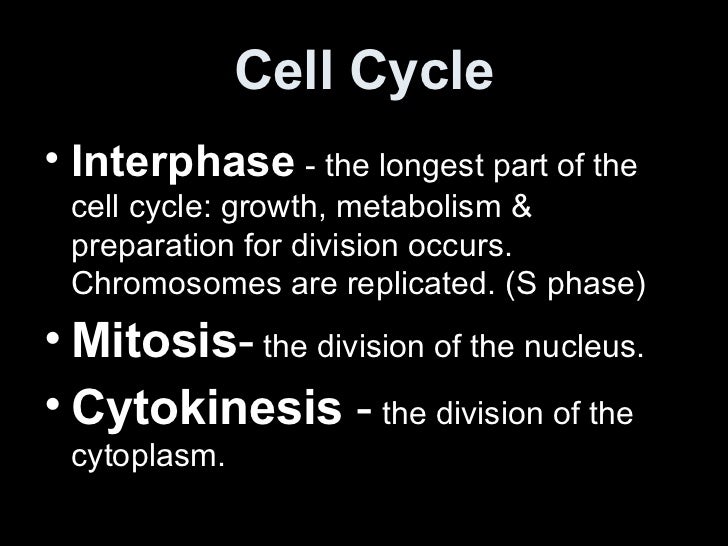Notes Mitosis Continued