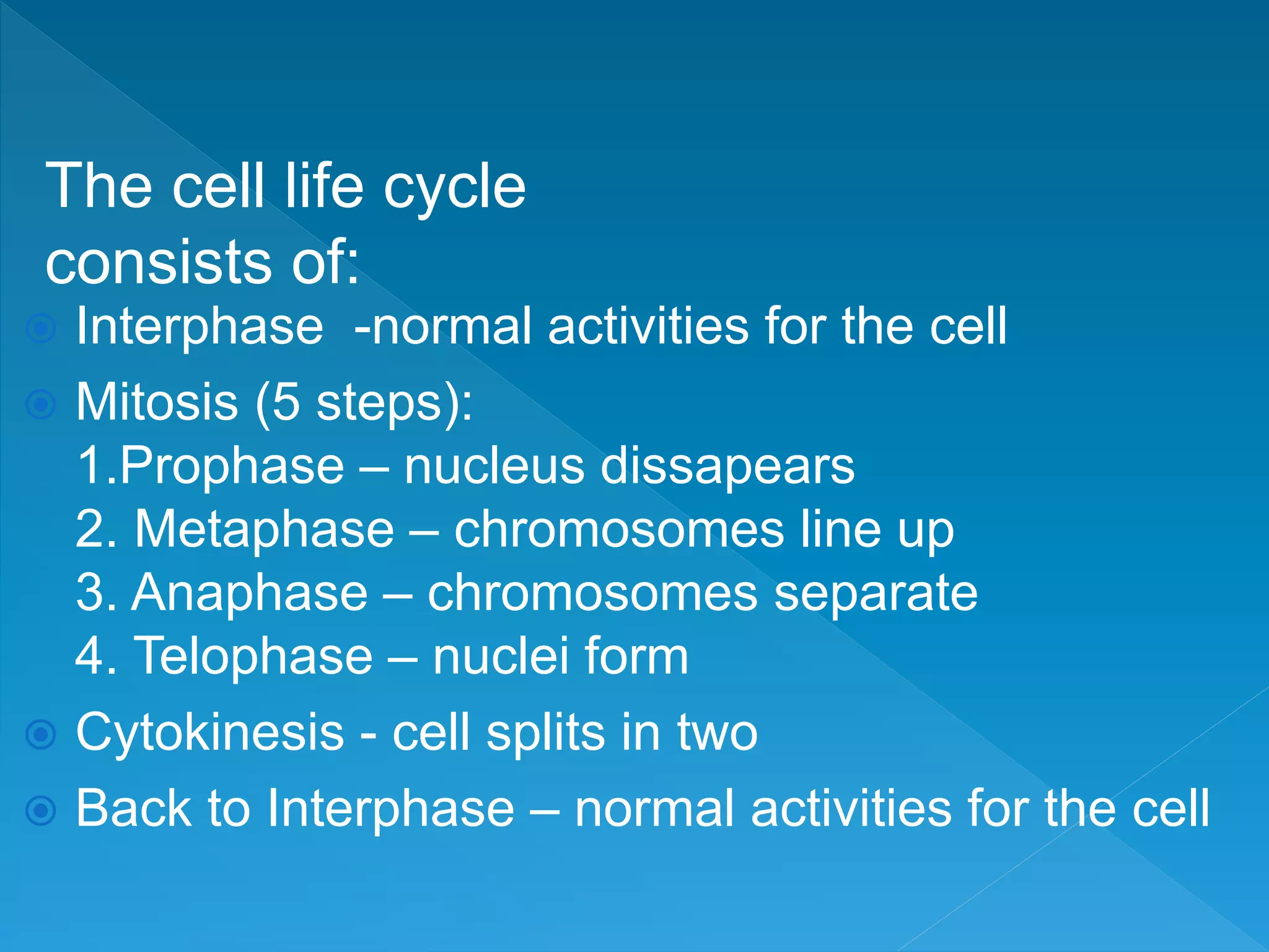 Mitosis Notes Presentation | PPT