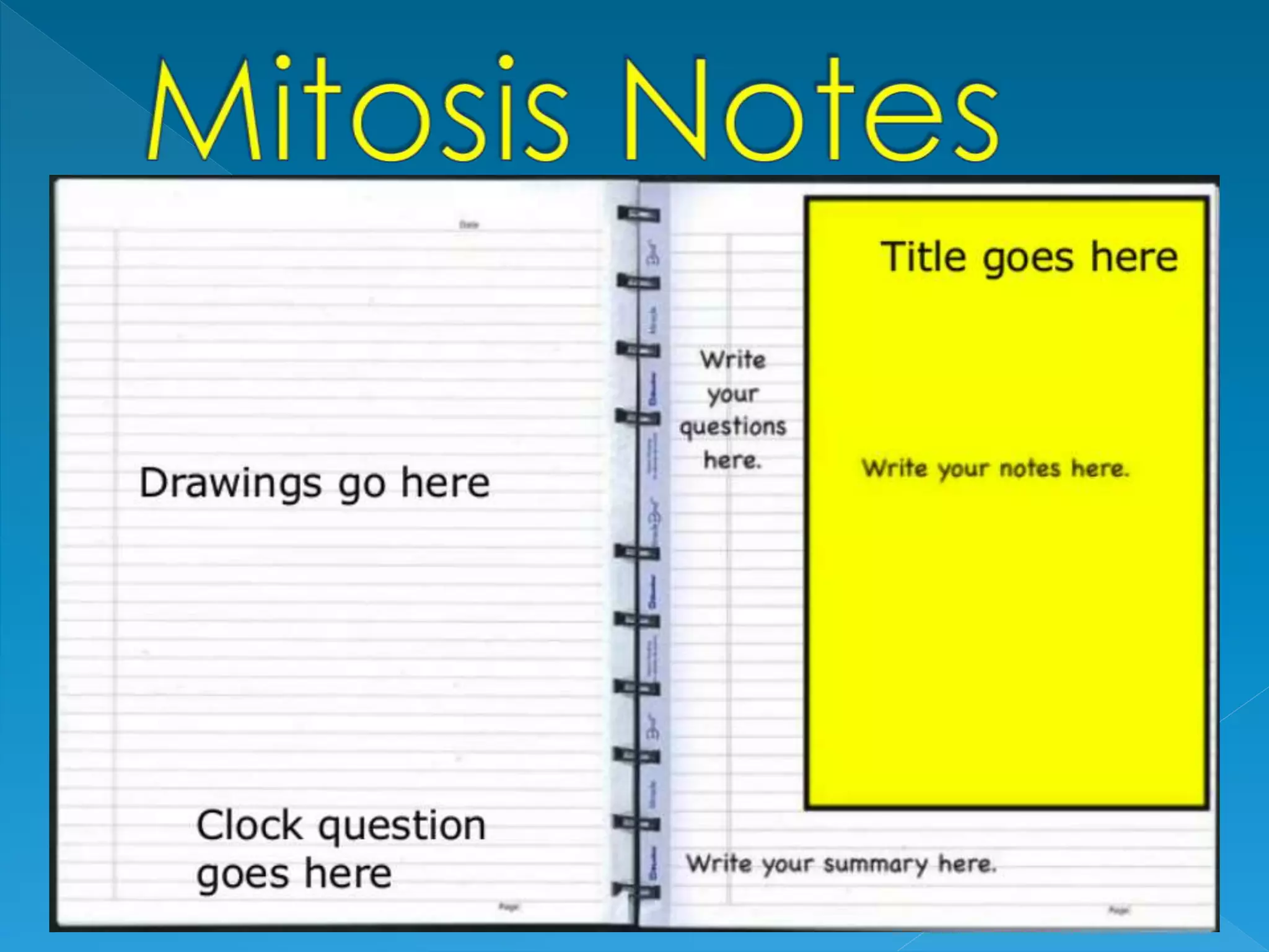 Mitosis notes presentation | PPT