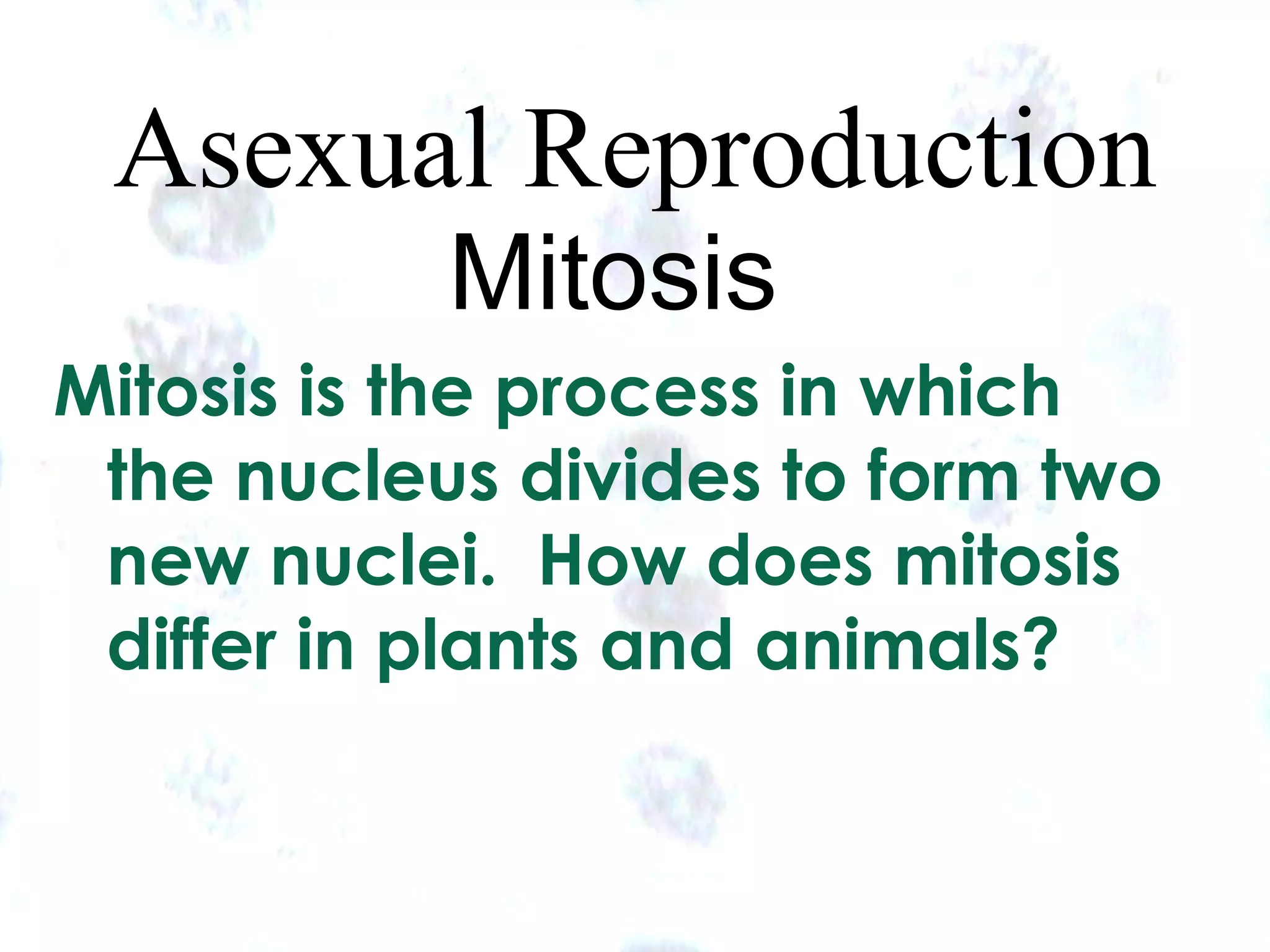 Mitosis plant & animal | PPT
