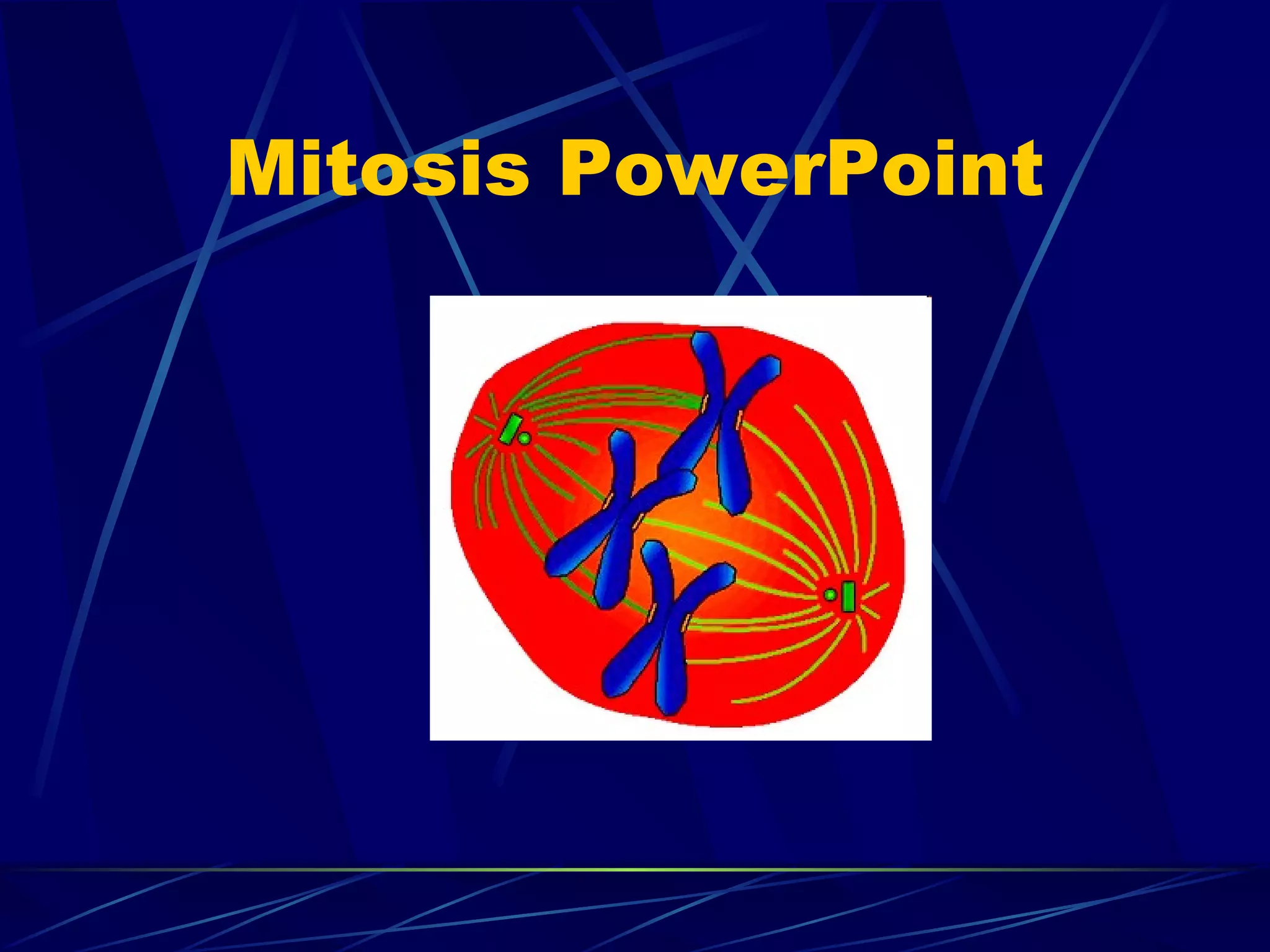 Mitosis Power Point | PPT
