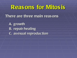 Mitosispowerpoint | PDF