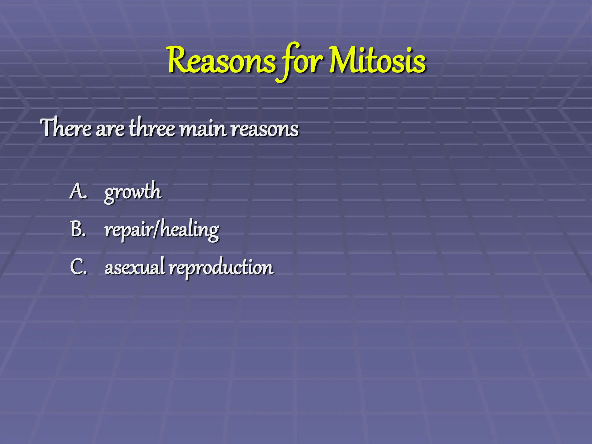 mitosispowerpoint-120120121549-phpapp01.ppt