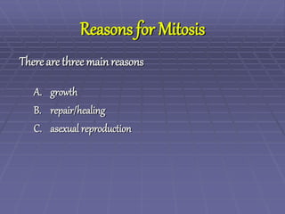 mitosispowerpoint-120120121549-phpapp01.ppt