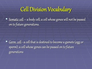 mitosispowerpoint-120120121549-phpapp01.ppt