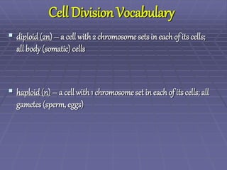 mitosispowerpoint-120120121549-phpapp01.ppt