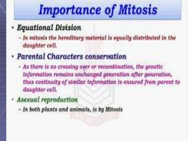 Cell division -mitosis | PPT