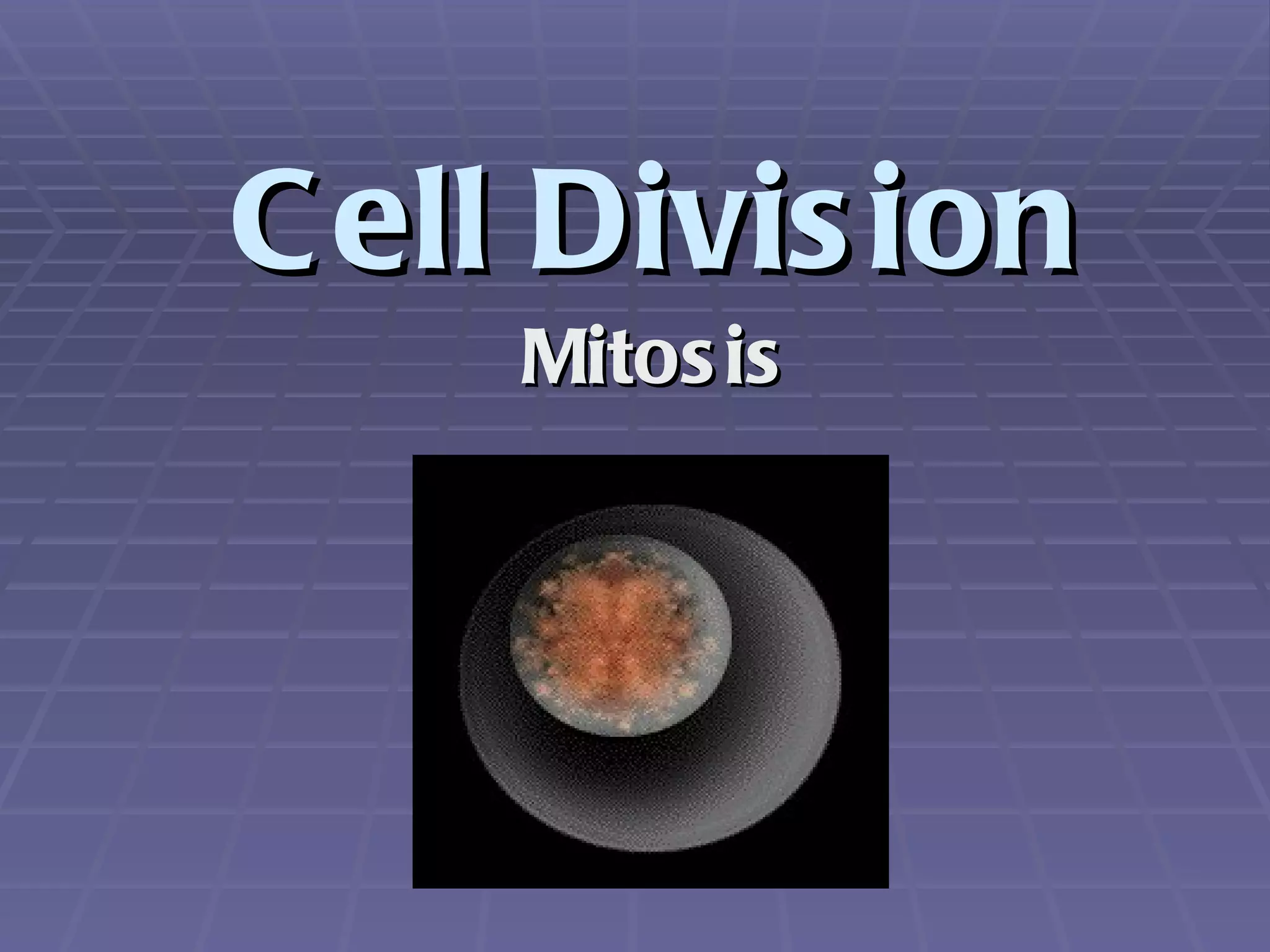 Mitosis powerpoint | PPT