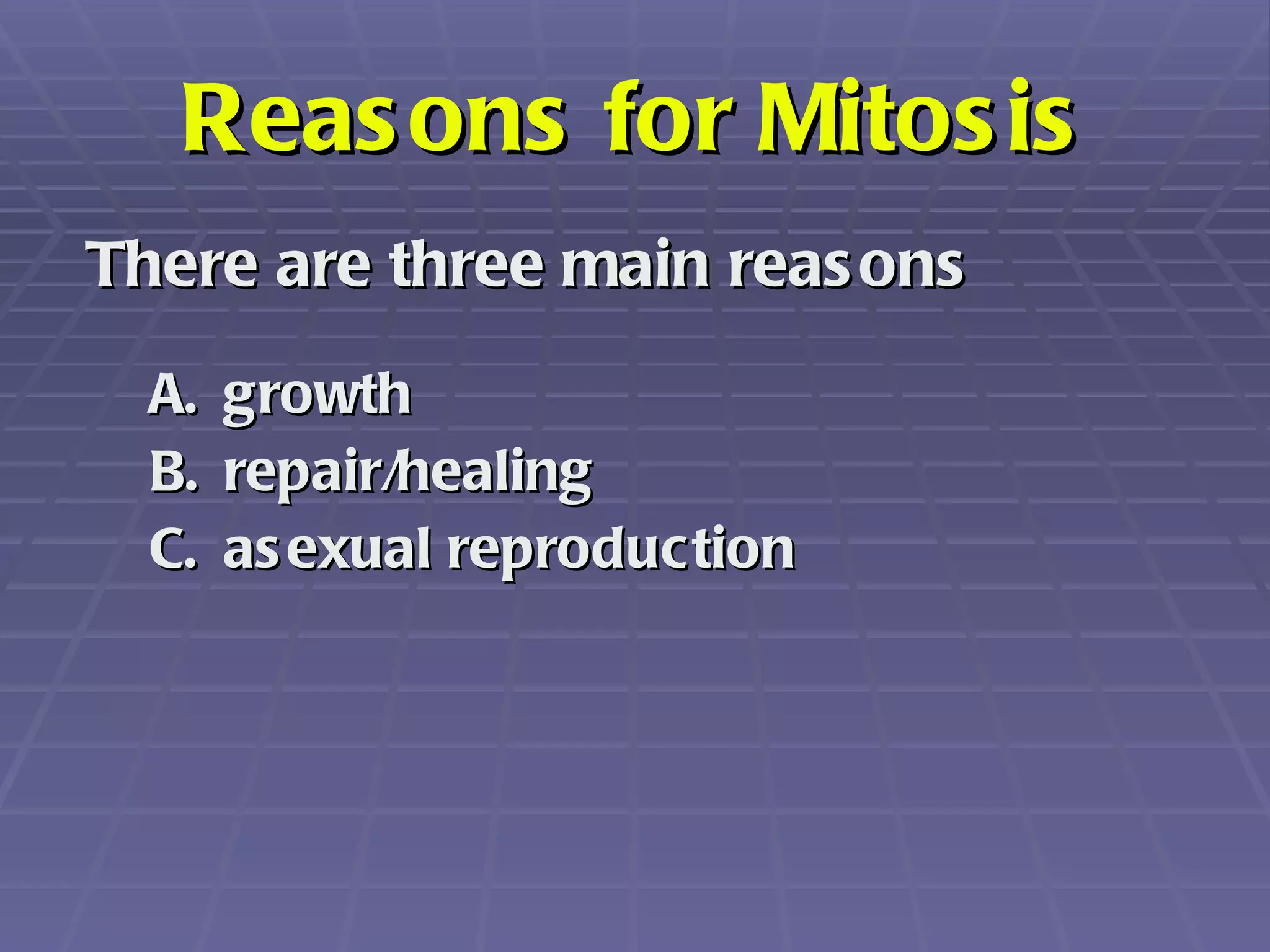 Mitosis powerpoint | PPT