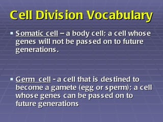 Mitosis powerpoint | PPT