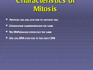 Meiosis Powerpoint High School