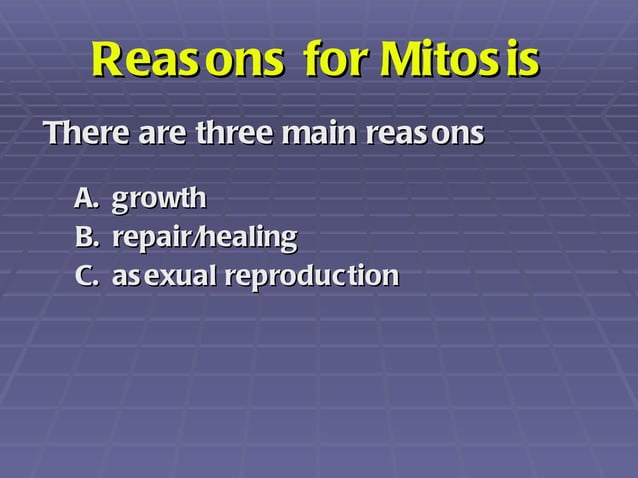 Mitosis powerpoint | PPT