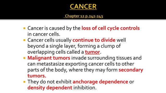 Mitosis powerpoint | PPTX | Biological Sciences | Science