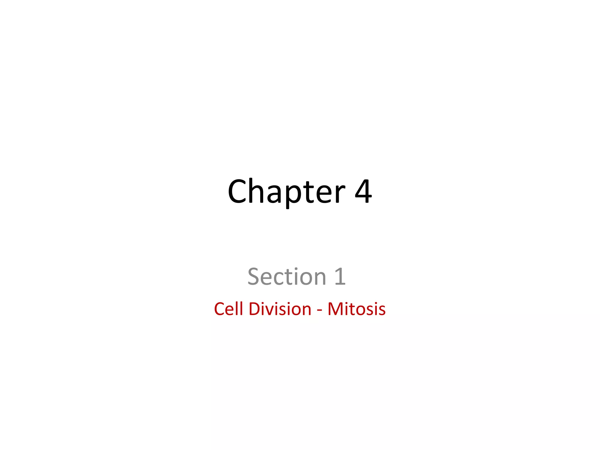 Mitosis powerpoint | PPT